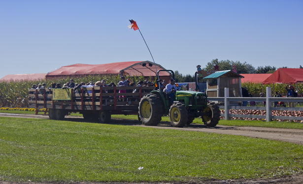 Fall on the Farm, Part 2: White Post Farms - LIB Magazine