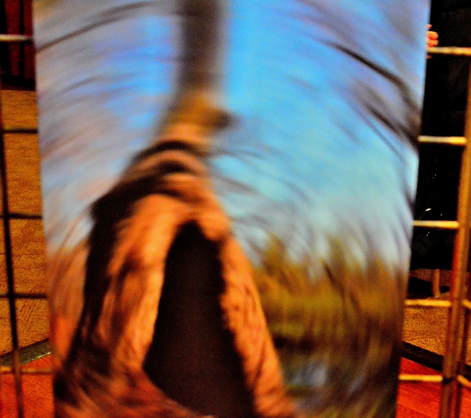 An Art Show Like No Other - Project 9line - LIB Magazine